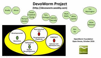 DevoWorm Overview (Bradly Alicea ) video