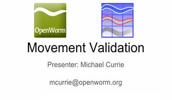 Movement Validation (Michael Currie ) video