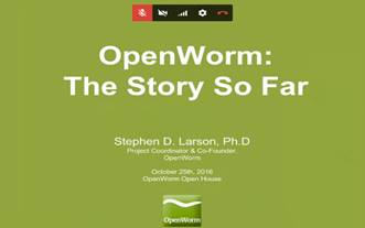 Recent progress in OpenWorm (Stephen Larson) video